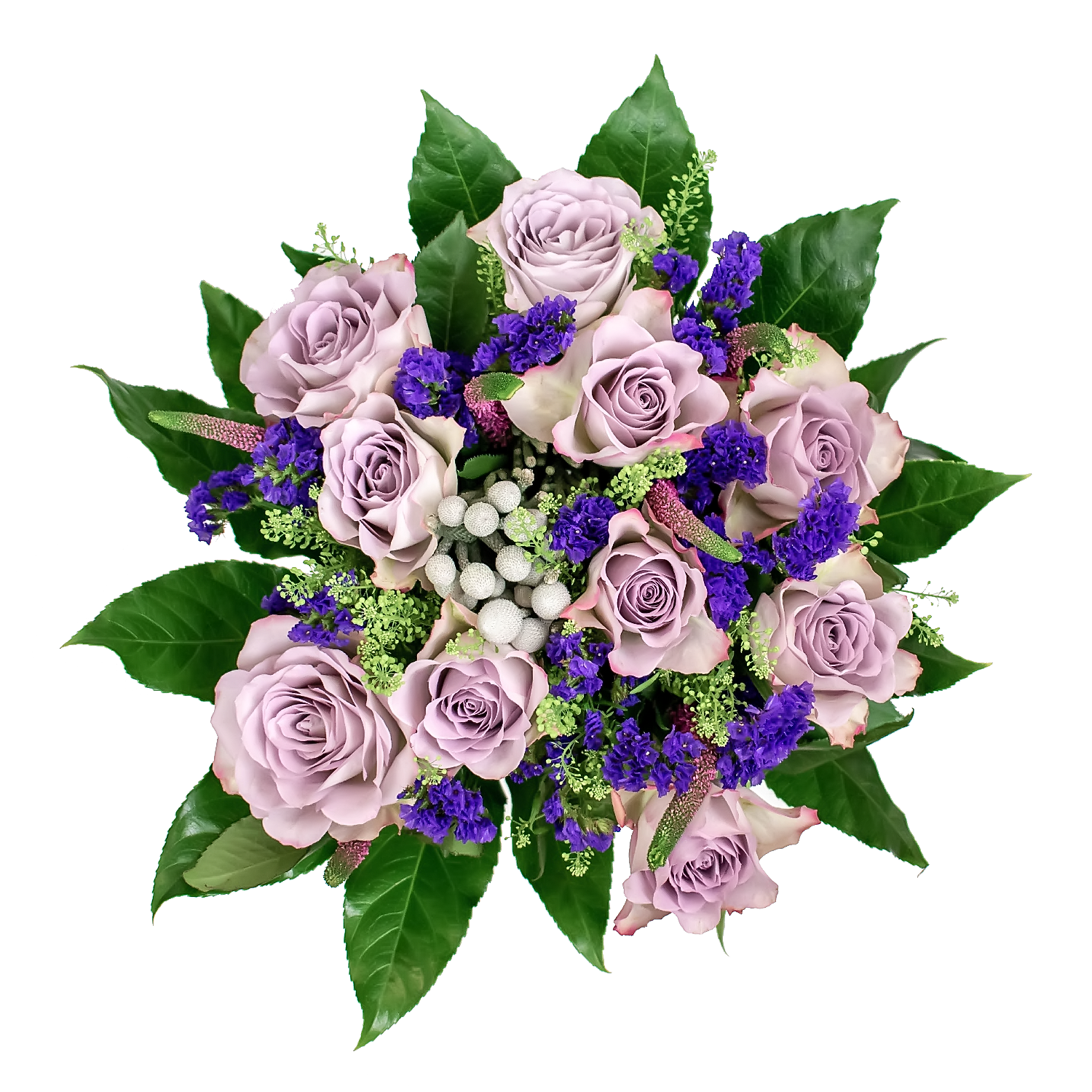 Charming Rose | Monsoon Flowers