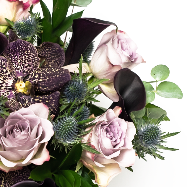 Orchid Rose & Lily Noir | Monsoon Flowers